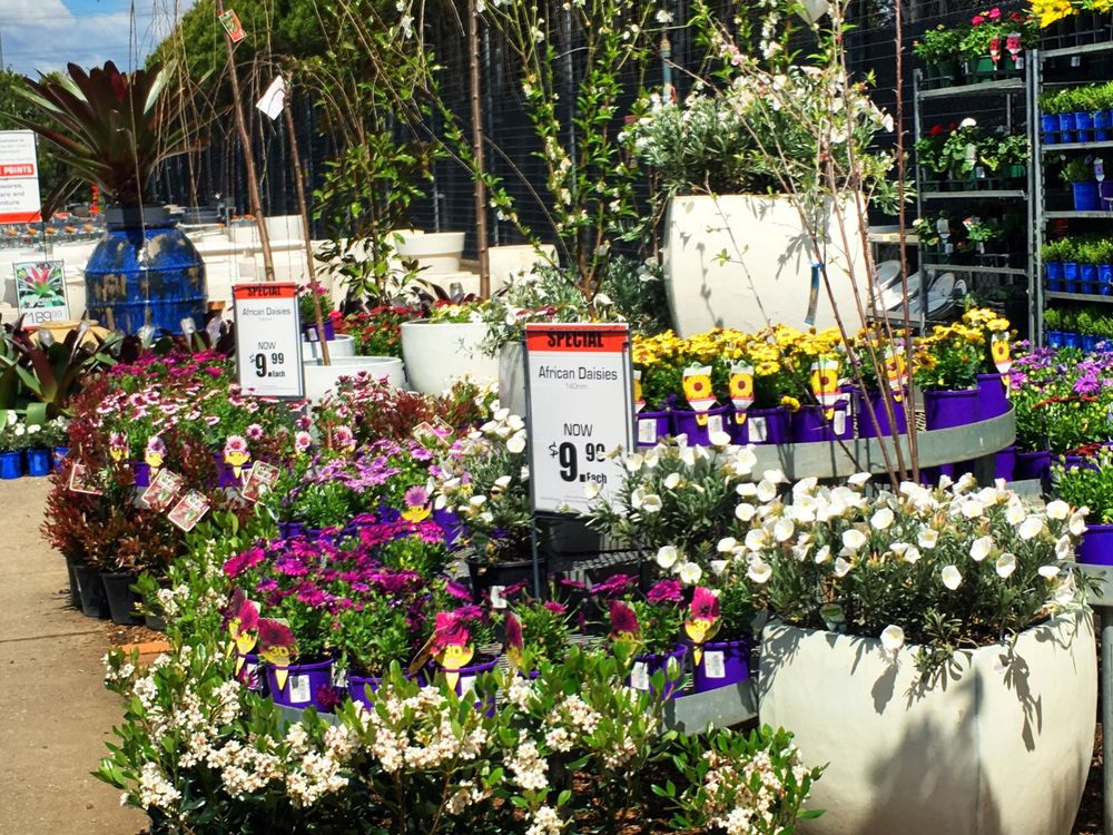 Flower Power Enfield Trading Hours - Home Alqu