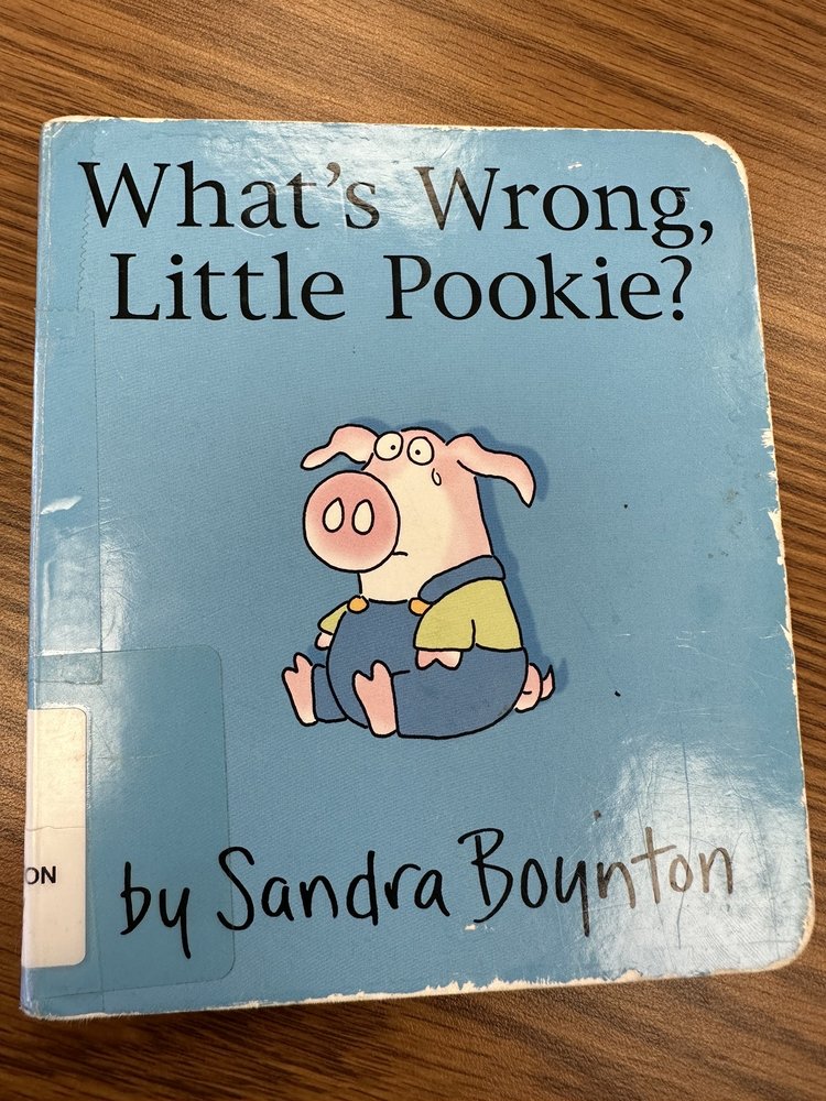 CHICAGO PUBLIC LIBRARY - RODEN BRANCH - Updated December 2024 - 15 ...