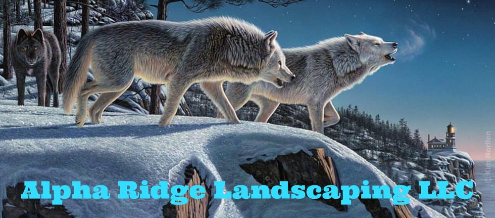 ALPHA RIDGE LANDSCAPING - Updated June 2025 - 6125 SW Canal Blvd ...