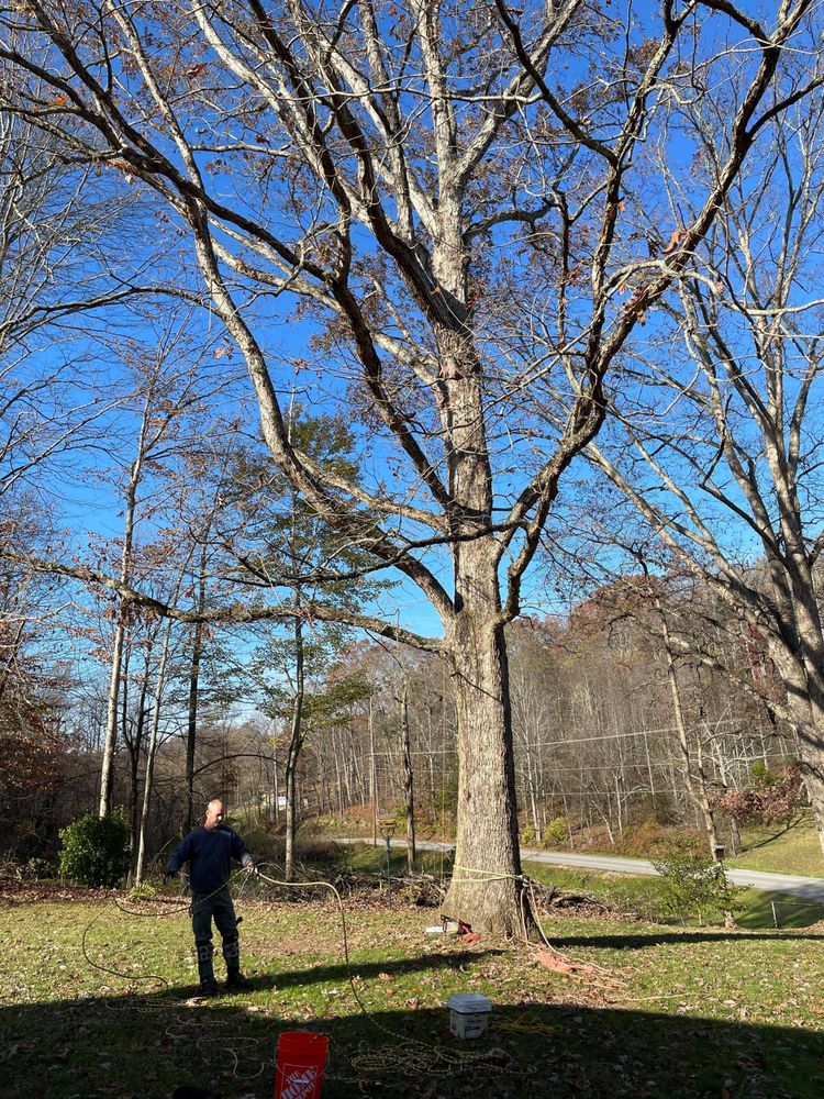 LOWERY TREE SERVICE - Updated January 2025 - 8622 Coppock Rd, Corryton ...