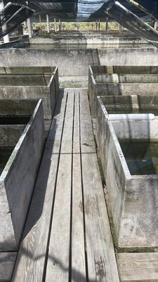 SUMMERLAND TROPICAL FISH FARMS - Updated December 2025 - 13955 SW 248th ...