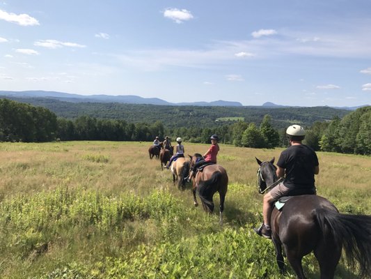 D-N-D STABLES GUIDED TRAIL RIDES - Updated July 2024 - 34 Photos & 13 ...