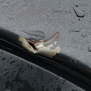 SB AUTO SALES - Updated November 2024 - 13 Reviews - 1355 Montauk Hwy ...