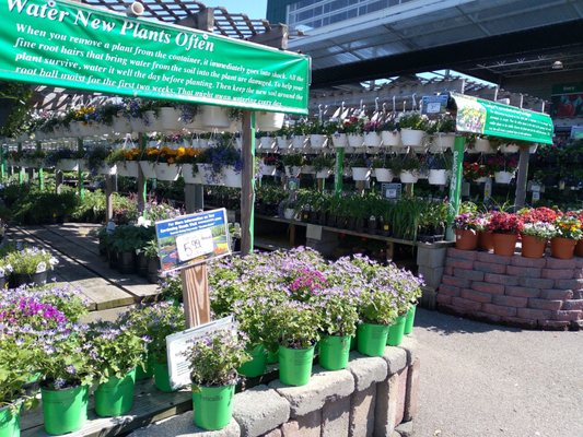 MENARDS - Updated April 2025 - 13 Photos & 38 Reviews - 2015 Wal Mart ...