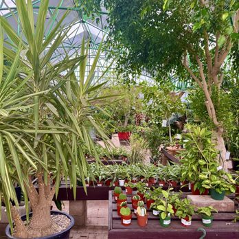 MESQUITE VALLEY GROWERS NURSERY - Updated December 2025 - 635 Photos ...