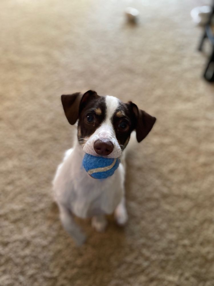 THE AMANDA FOUNDATION- DR. SHIPP’S ANIMAL HOSPITAL - 146 Photos & 279 ...