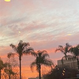 MU - Updated November 2025 - 410 Photos & 491 Reviews - 309 W State St ...