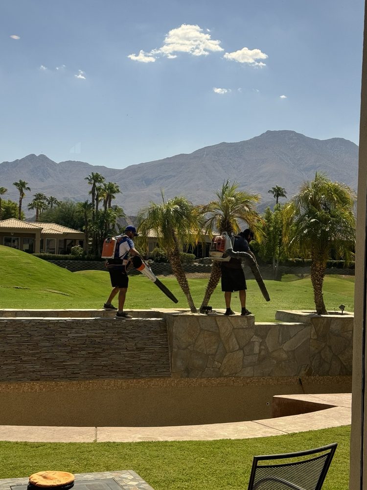 PRECISION POOL TILE CLEANING - Updated December 2025 - 501 Photos & 205 ...