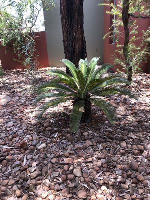 AYERS ROCK RESORT - TOWN SQUARE - 30 Photos - 170 Yulara Dr, Yulara ...