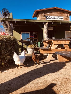 OLANCHA CAFE - 80 Photos & 45 Reviews - 1075 S Hwy 395, Olancha ...