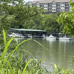 ANGRY DUMPLINGS TEA - Updated December 2025 - 153 Photos & 124 Reviews ...