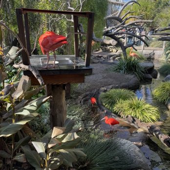 PALO ALTO JUNIOR MUSEUM & ZOO - Updated December 2025 - 724 Photos ...