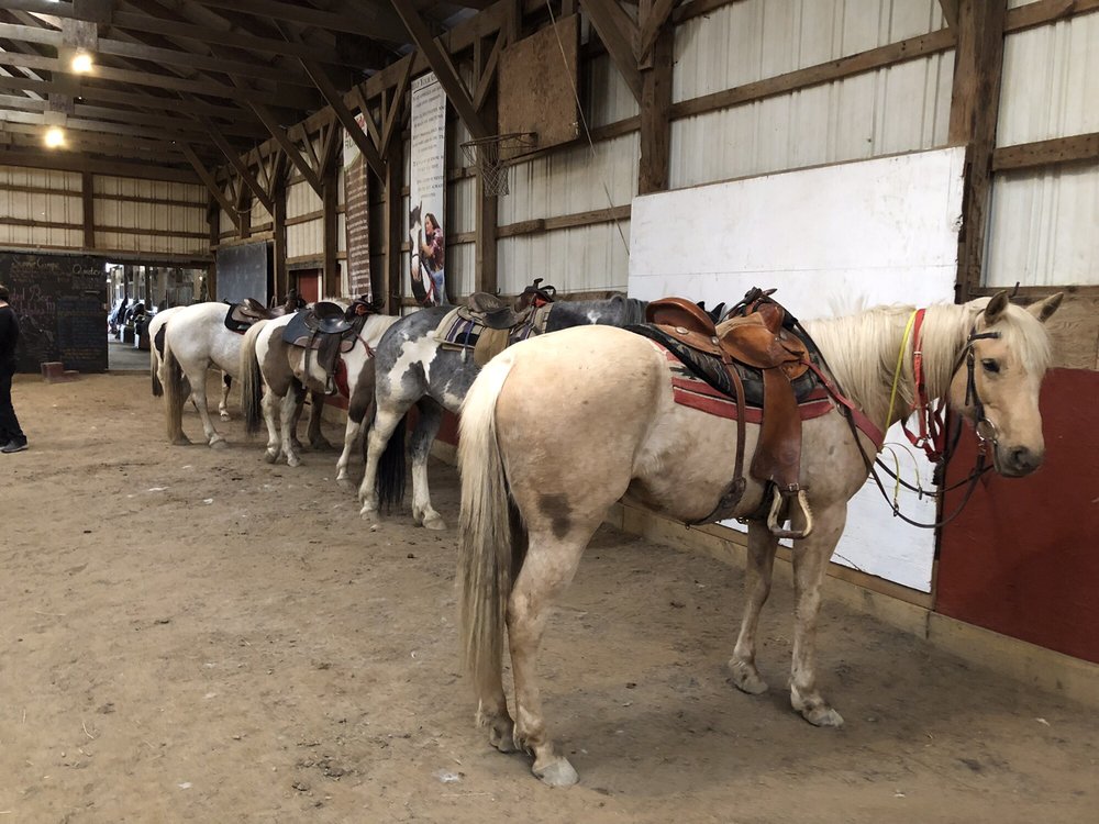 PAINTED BAR STABLES - 67 Photos & 34 Reviews - Horse Boarding - 4093 ...
