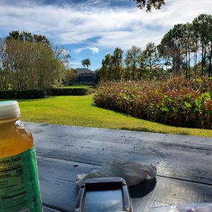 MILL RUN PARK - 35 Photos - 1451 Mill Slough Rd, Kissimmee, Florida ...