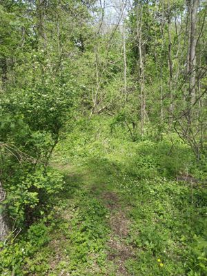 GELDER PARK - Updated January 2026 - 2250 Gelder Park Dr, Hummelstown ...