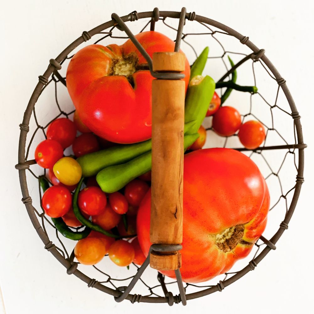 ARROWTREE HOMESTEAD - Updated January 2025 - 39 Photos - 118 Zoia Ln, Hillsborough, North ...