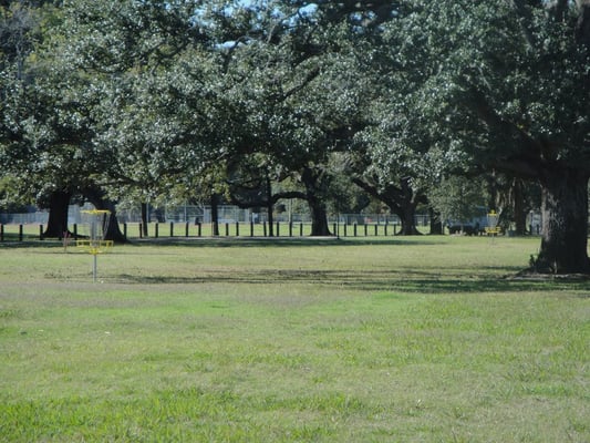 CITY PARK DISC GOLF COURSE - Updated October 2025 - 26 Photos - 1 Palm ...
