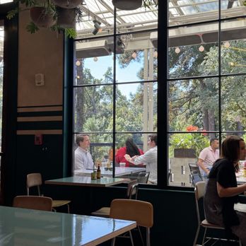 LITTLE REY - Updated October 2025 - 68 Photos & 53 Reviews - 3705 ...