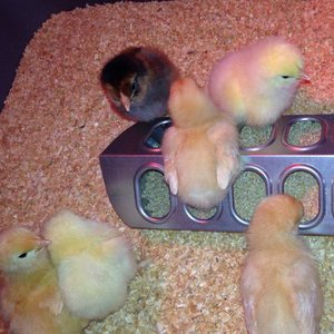 PRECISION POINT - Updated May 2025 - 4537 Metropolitan Ct, Frederick ...