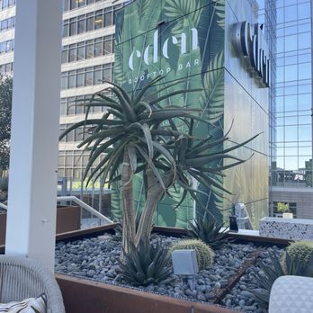 EDEN ROOFTOP BAR - Updated January 2025 - 146 Photos & 88 Reviews - 2 E ...