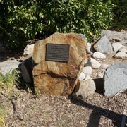 UCR BOTANIC GARDENS - 580 Photos & 119 Reviews - 1 Botanic Gardens Dr ...