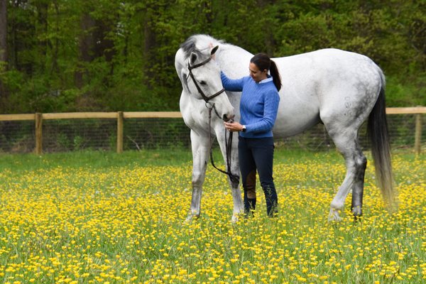 TOP FLIGHT STABLES - Updated December 2025 - 34 Photos - 1608 Wildlife ...