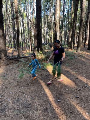 WAIHOU SPRING TRAIL in 2463 Olinda Rd, Makawao, Hawaii - Updated ...