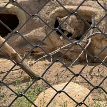HERITAGE PARK ZOOLOGICAL SANCTUARY - Updated January 2026 - 148 Photos ...