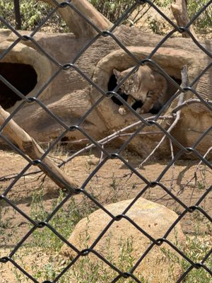 HERITAGE PARK ZOOLOGICAL SANCTUARY - Updated December 2025 - 147 Photos ...