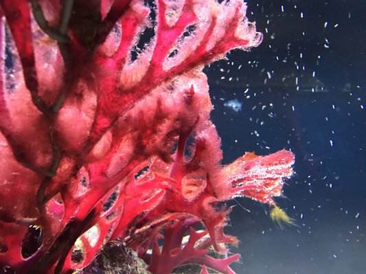 FISH DEN - Updated June 2025 - 21 Photos & 85 Reviews - 5055 W 44th Ave ...