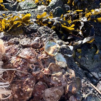 POINT MOLATE - Updated October 2025 - 101 Photos & 19 Reviews ...