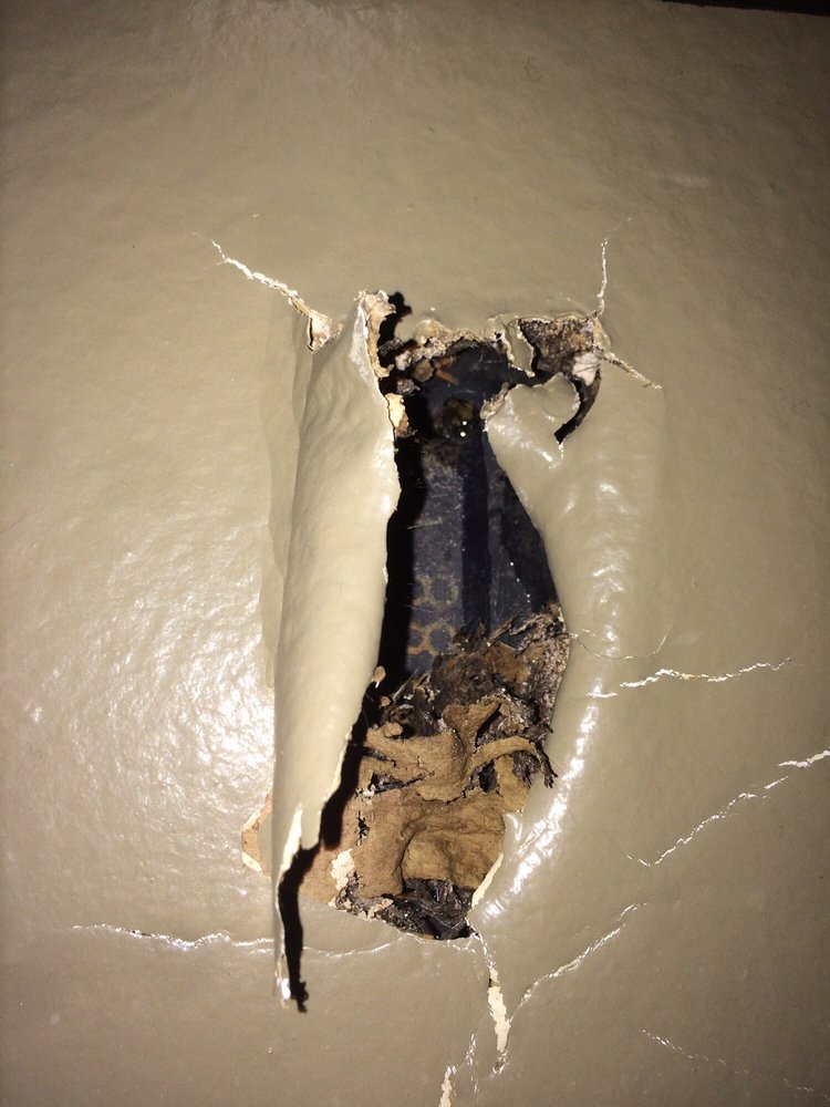 THE LARAMAR GROUP - Updated June 2024 - 38 Photos - 2737 Francis Ave ...