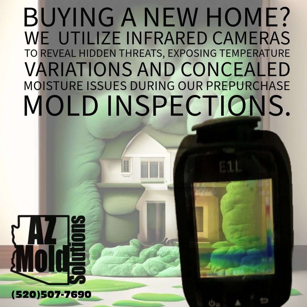 AZ MOLD SOLUTIONS - Updated May 2025 - 5587 W Crimson Bluff Dr, Marana ...