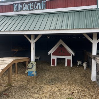 THREE CEDARS FARM - Updated October 2025 - 392 Photos & 147 Reviews ...