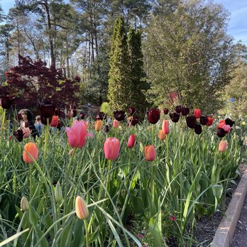 SARAH P DUKE GARDENS - Updated December 2024 - 1667 Photos & 366 ...