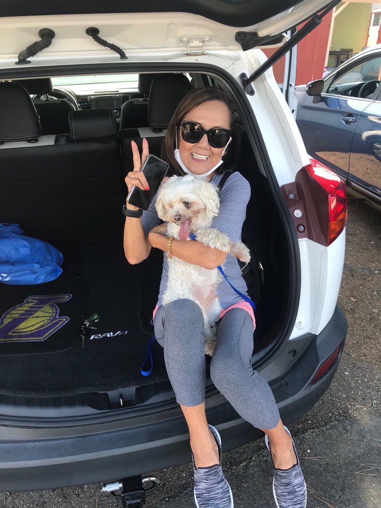 AMAZING SMALL ANIMAL PRACTICE - Updated November 2024 - 57 Photos & 128 ...