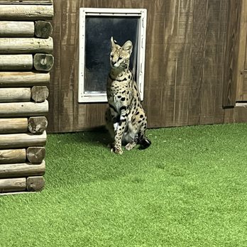 OAK MEADOW RANCH FEATURING THE WHITEHORSE STEAKHOUSE - Updated December ...