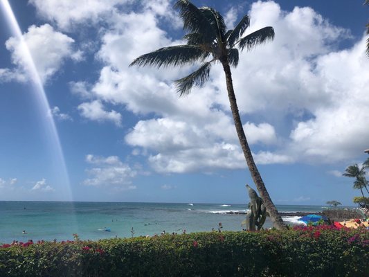 HONU BAR - 63 Photos & 78 Reviews - Hawaiian - 2249 Poipu Rd, Koloa, HI ...