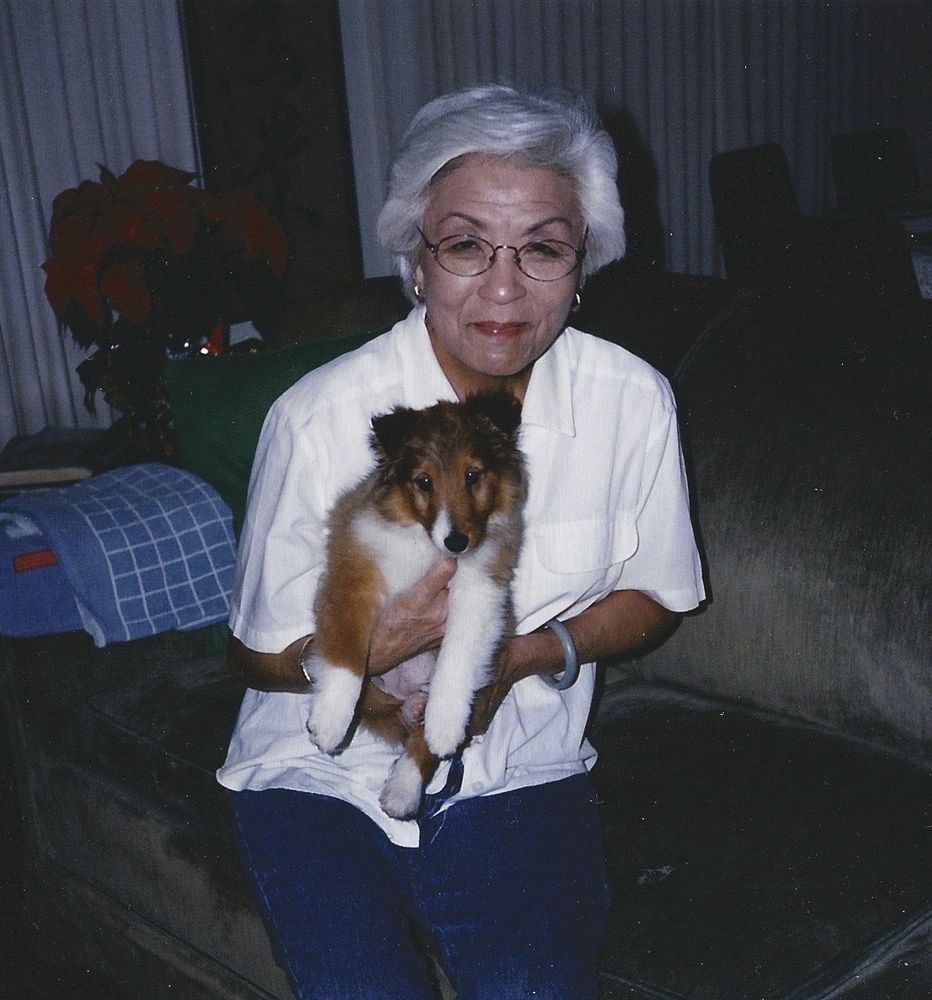 BRETON’S DOG & CAT BOARDING - Updated July 2025 - 13 Photos & 36 ...