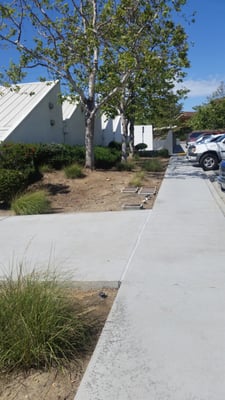 SAN DIEGO PUBLIC LIBRARY - OTAY MESA-NESTOR BRANCH LIBRARY - Updated ...