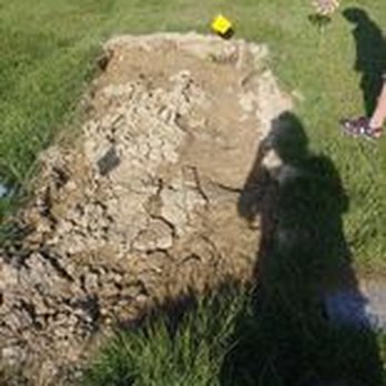 ROSELAND PARK CEMETERY - Updated January 2026 - 15 Photos & 23 Reviews ...