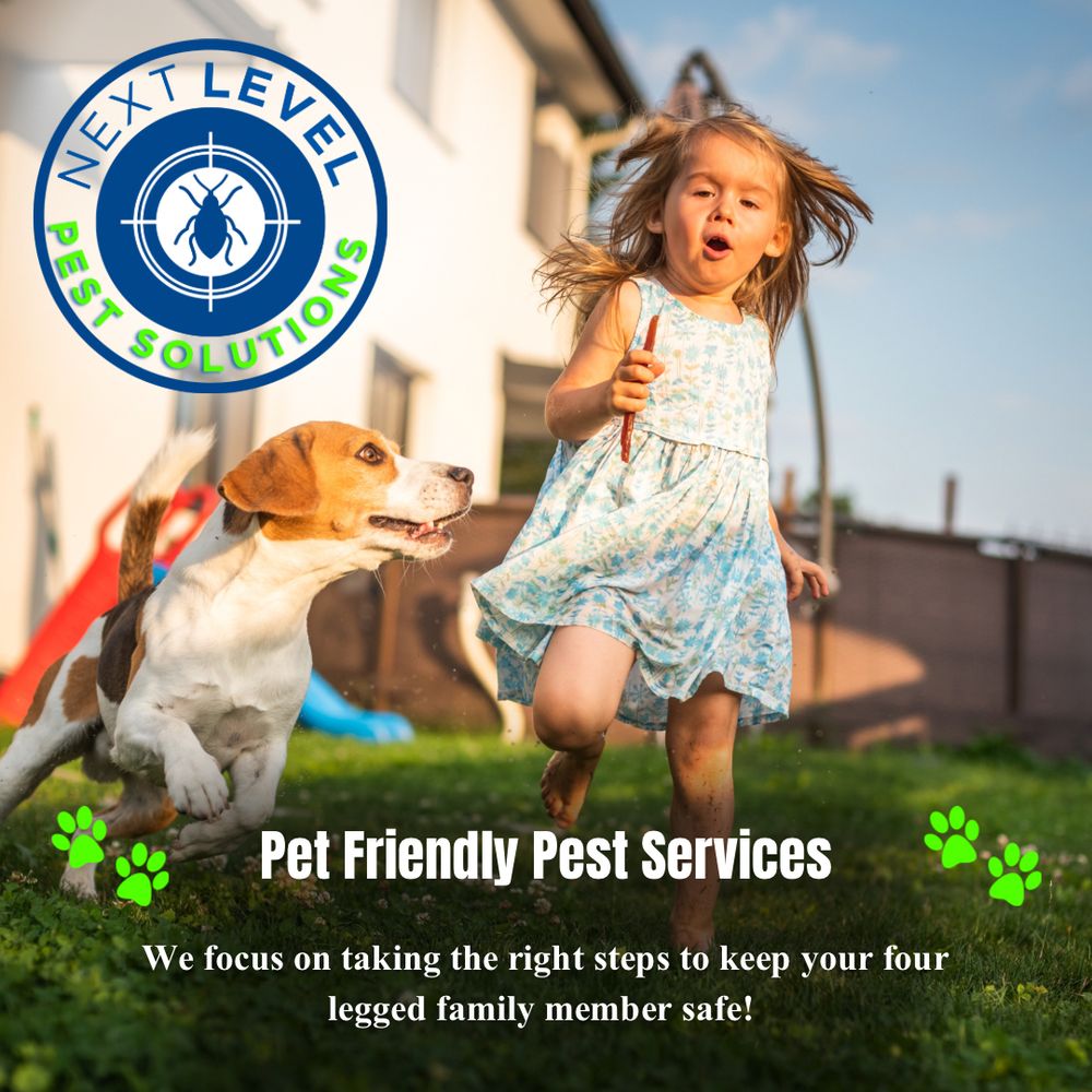 NEXT LEVEL PEST SOLUTIONS - Updated December 2025 - 22 Photos - Miami ...