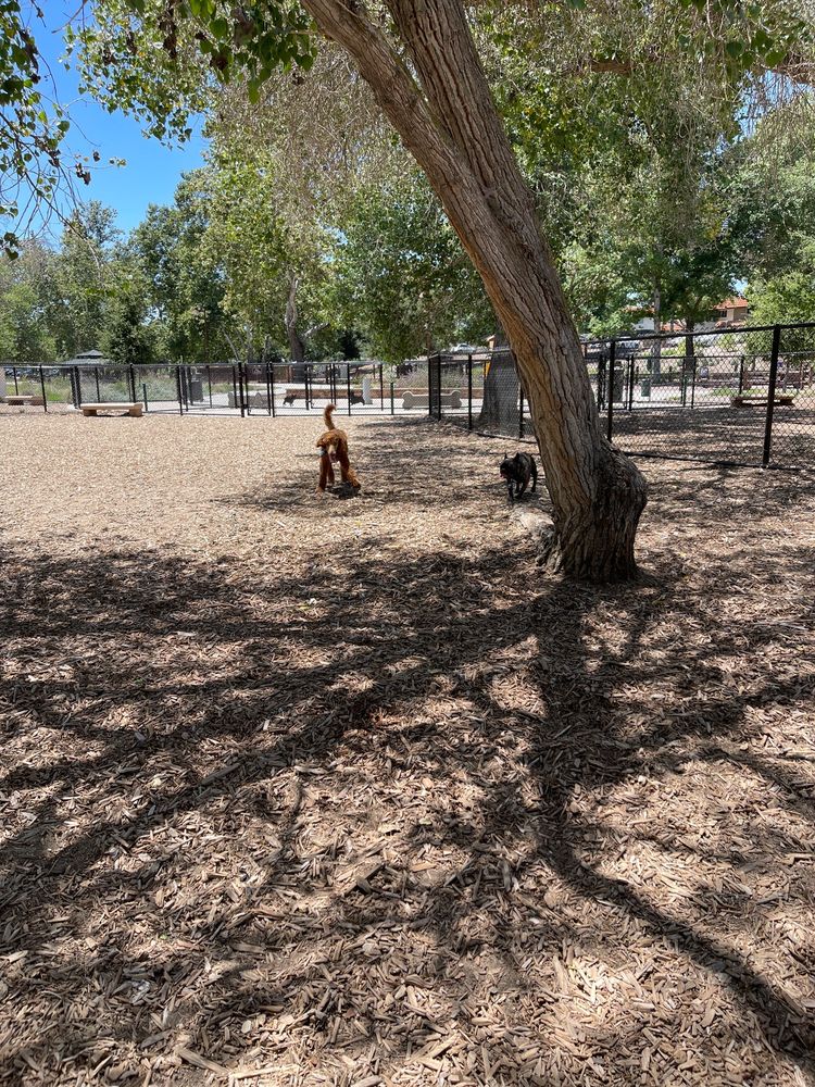 MAST PARK - Updated May 2025 - 159 Photos & 65 Reviews - 9125 Carlton ...