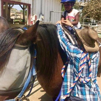 STEPP STABLES - Updated August 2025 - 26 Photos & 21 Reviews - Camp ...