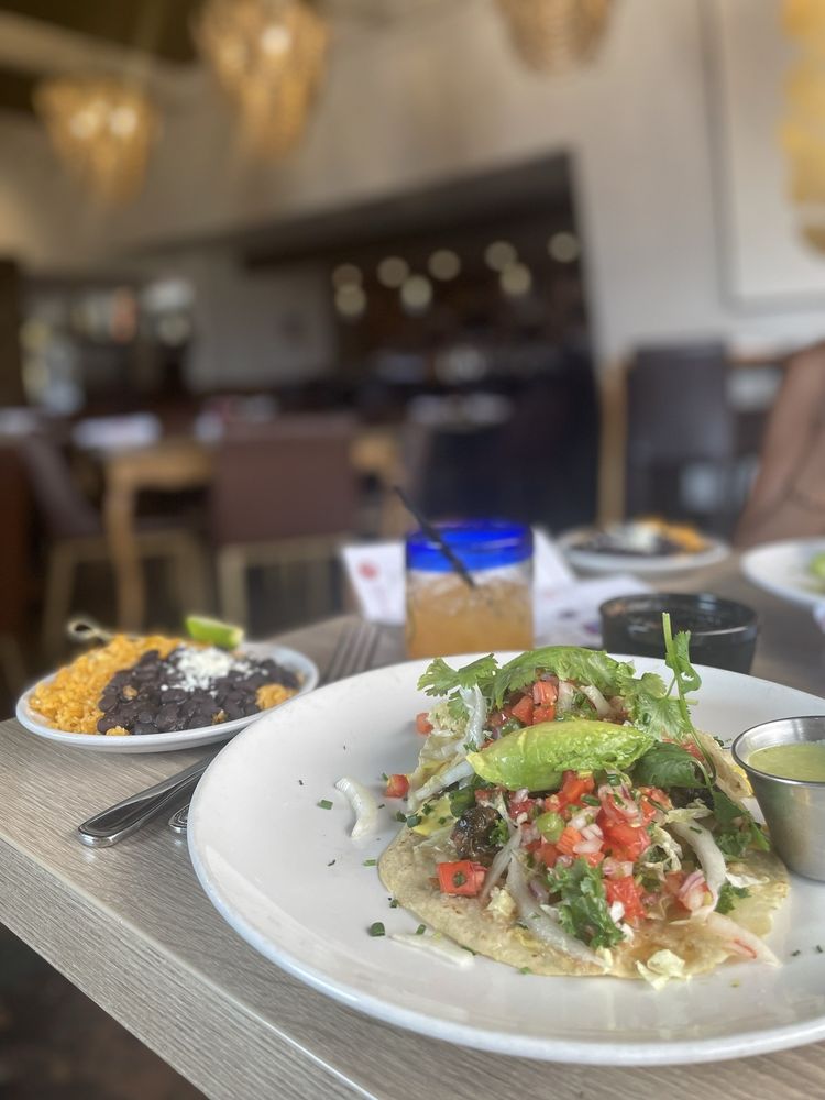 MOLE - Updated September 2024 - 786 Photos & 604 Reviews - 725 State ...