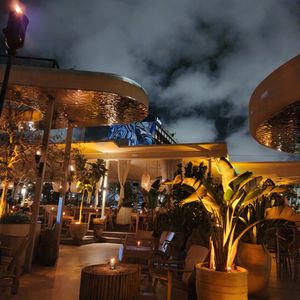 HABIBI MIAMI - Updated September 2025 - 81 Photos & 51 Reviews - 452 NW ...