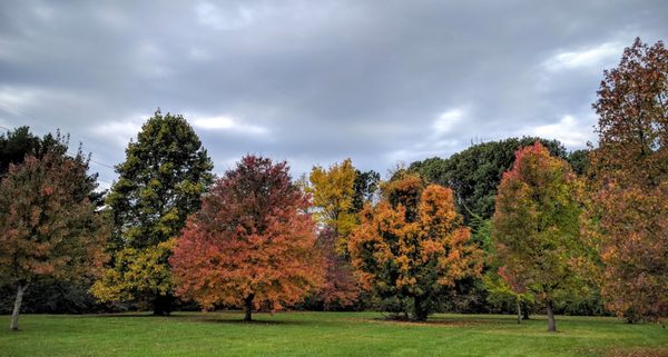 WILLIAM S. SAHM PARK - 29 Photos & 13 Reviews - Parks - 6801 E 91st St ...