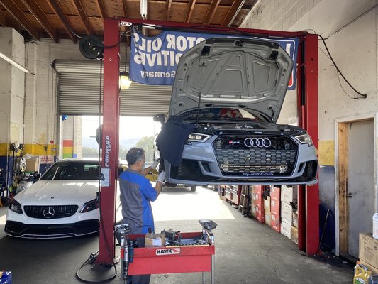 EUROTECH MOTORSPORTS - Updated October 2025 - 115 Photos & 146 Reviews ...