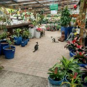 BAMBOO AND ORCHID GARDENS - 380 Photos & 45 Reviews - 2325 S Flamingo ...