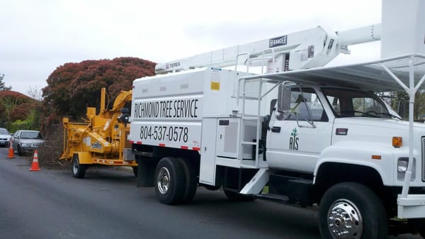 RICHMOND TREE SERVICE - Updated October 2024 - Richmond, Virginia ...